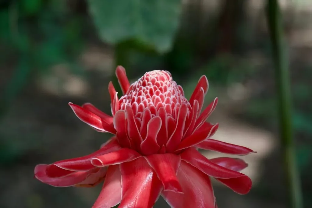 The Ultimate Travel Guide to the Amazon Rainforest in Peru (2025 ...