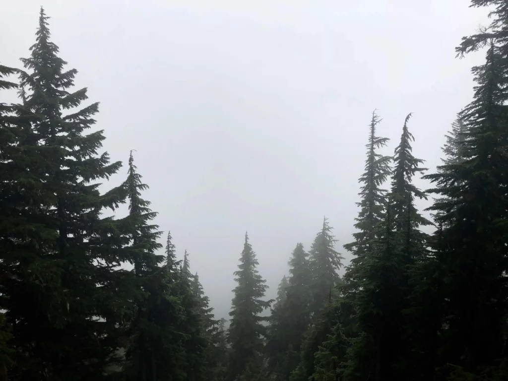 10 Practical Tips for Hiking in the Rain - brookeonfoot.com